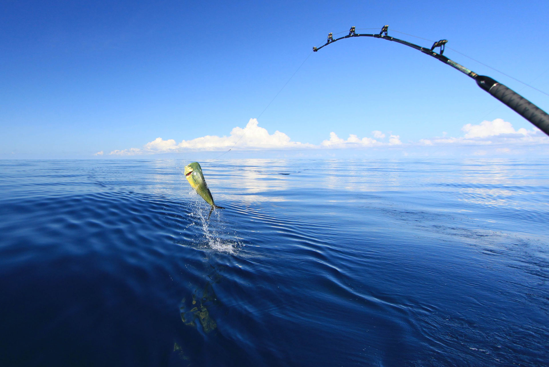 Deep-Sea Fishing in Destin, Florida: 6 Helpful Tips