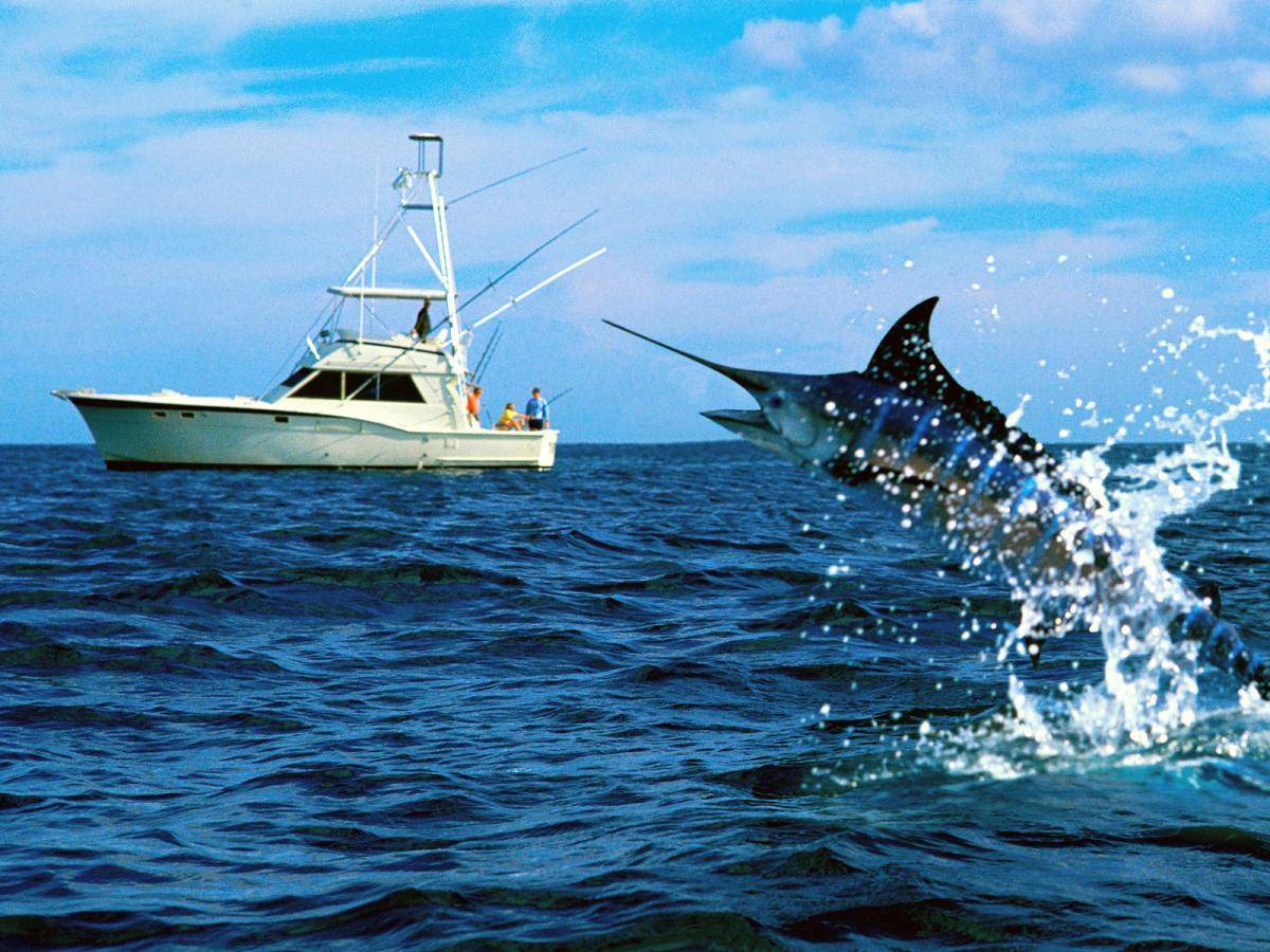 Everything You Need to Know About Destin Fishing Charters